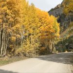 RV Parks in Telluride, Colorado - Top 20 Campgrounds near Telluride, CO ...